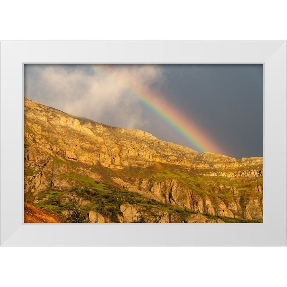 Jaynes Gallery 32x23 White Modern Wood Framed Museum Art Print Titled - USA-Colorado Rainbow ...