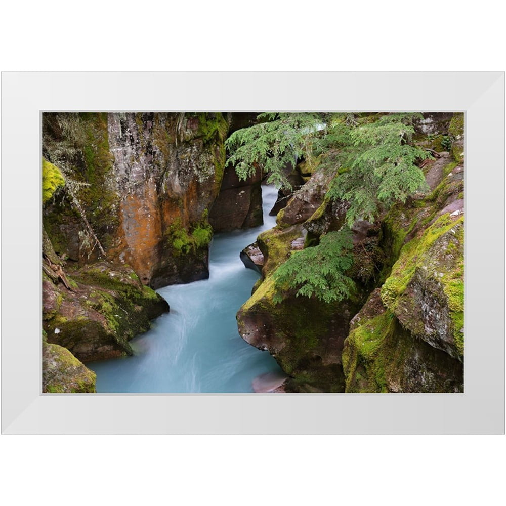 Jaynes Gallery 32x23 White Modern Wood Framed Museum Art Print Titled ...