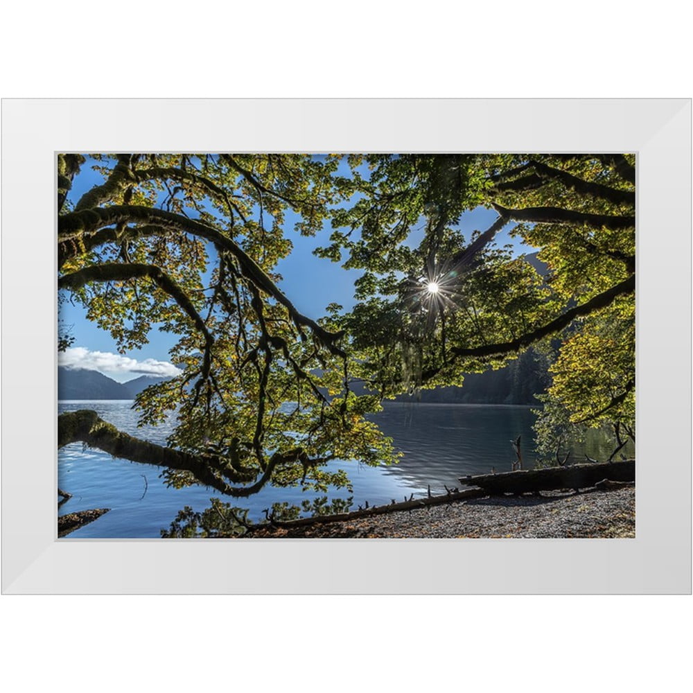 Jaynes Gallery 32x23 White Modern Wood Framed Museum Art Print Titled ...