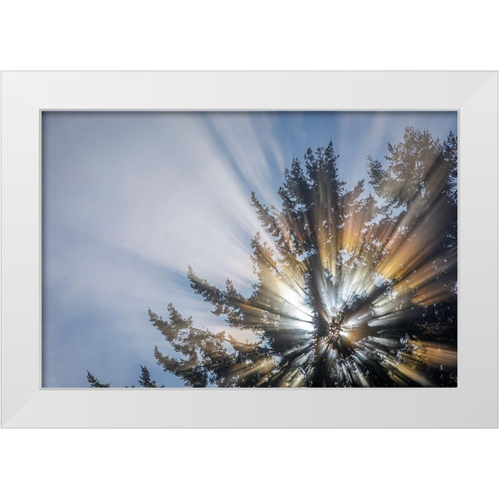 Jaynes Gallery 32x23 White Modern Wood Framed Museum Art Print Titled - Washington State-Seabeck ...
