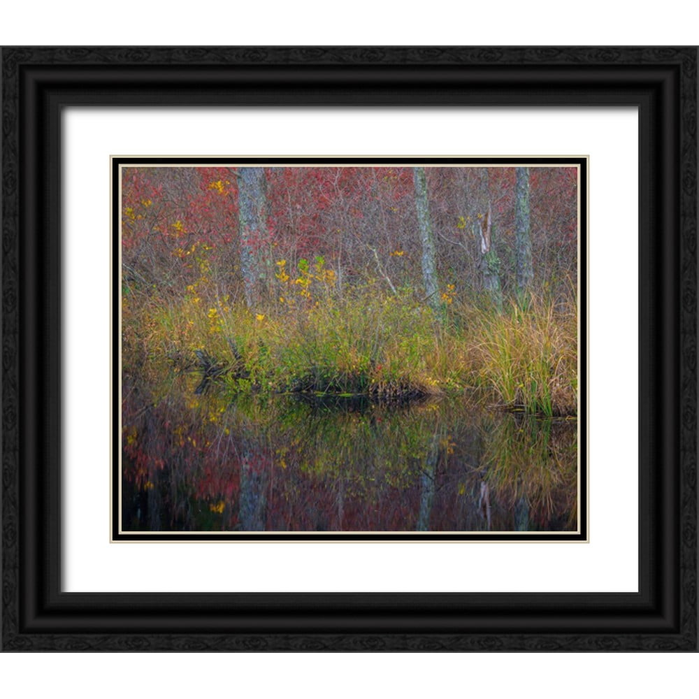 Jaynes Gallery 32x26 Black Ornate Wood Framed with Double Matting ...