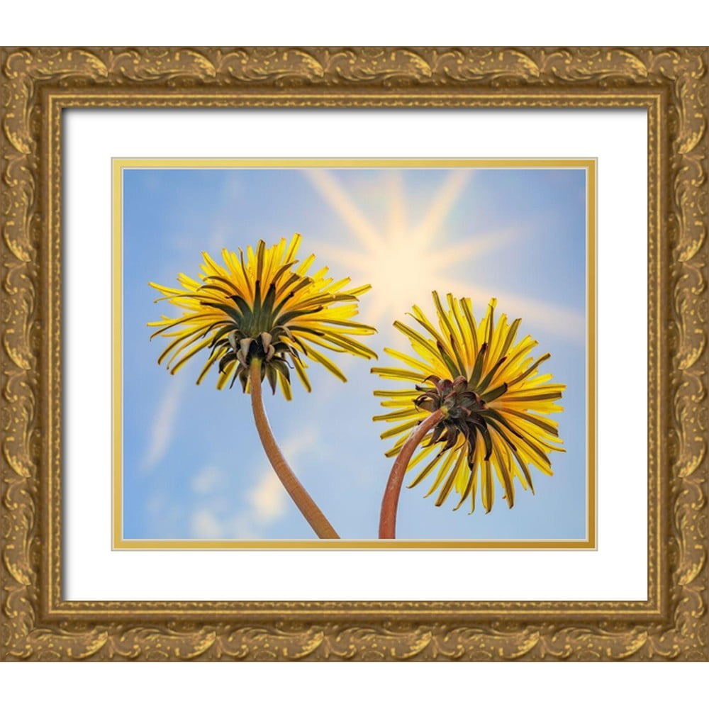 Jaynes Gallery 32x26 Gold Ornate Wood Framed with Double Matting Museum Art Print Titled ...