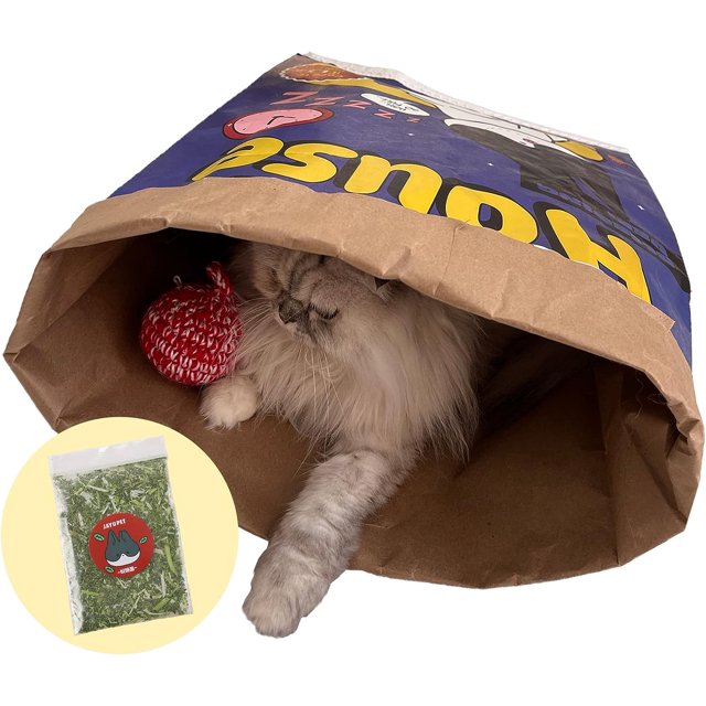 Jayu Pet, Coco's Catnip House I Cat Hideaway Collapsible Tube Tunnel I ...