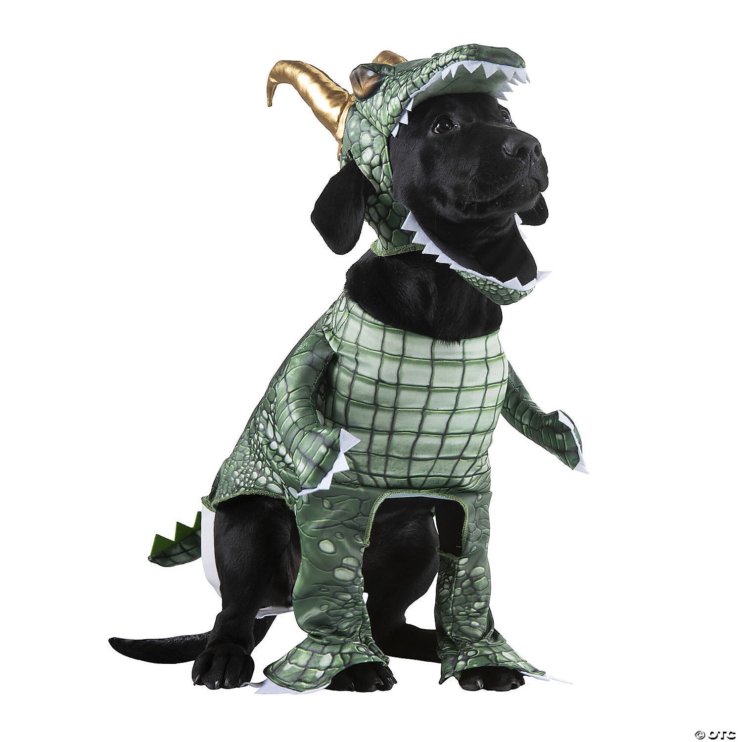 Marvel’s Loki Alligator Loki Pet Costume - Medium 25-40 lbs - Walmart.com