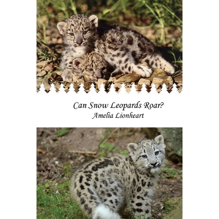 Snow Leopard Roar