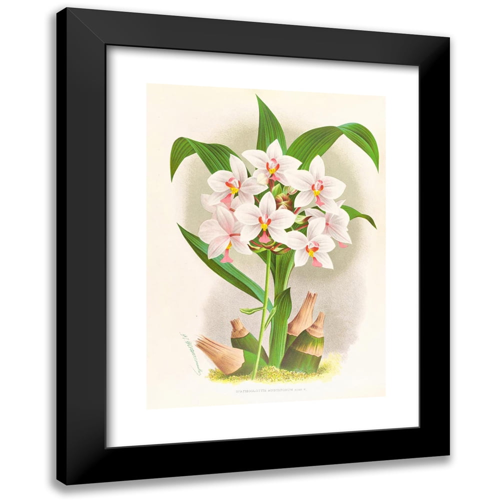 Jean Jules Linden 14x18 Black Modern Framed Museum Art Print Titled ...