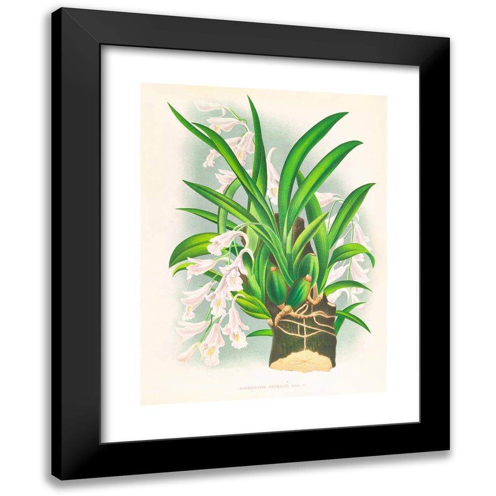 Jean Jules Linden 15x18 Black Modern Framed Museum Art Print Titled ...