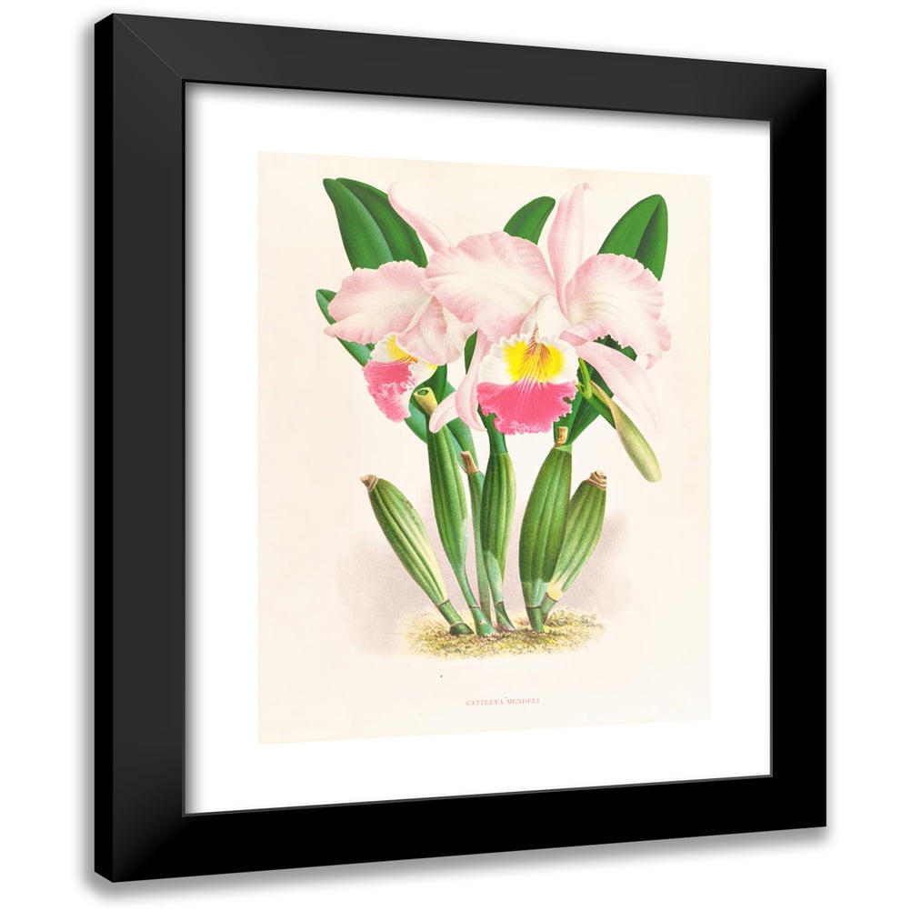 Jean Jules Linden 19x24 Black Modern Framed Museum Art Print Titled ...