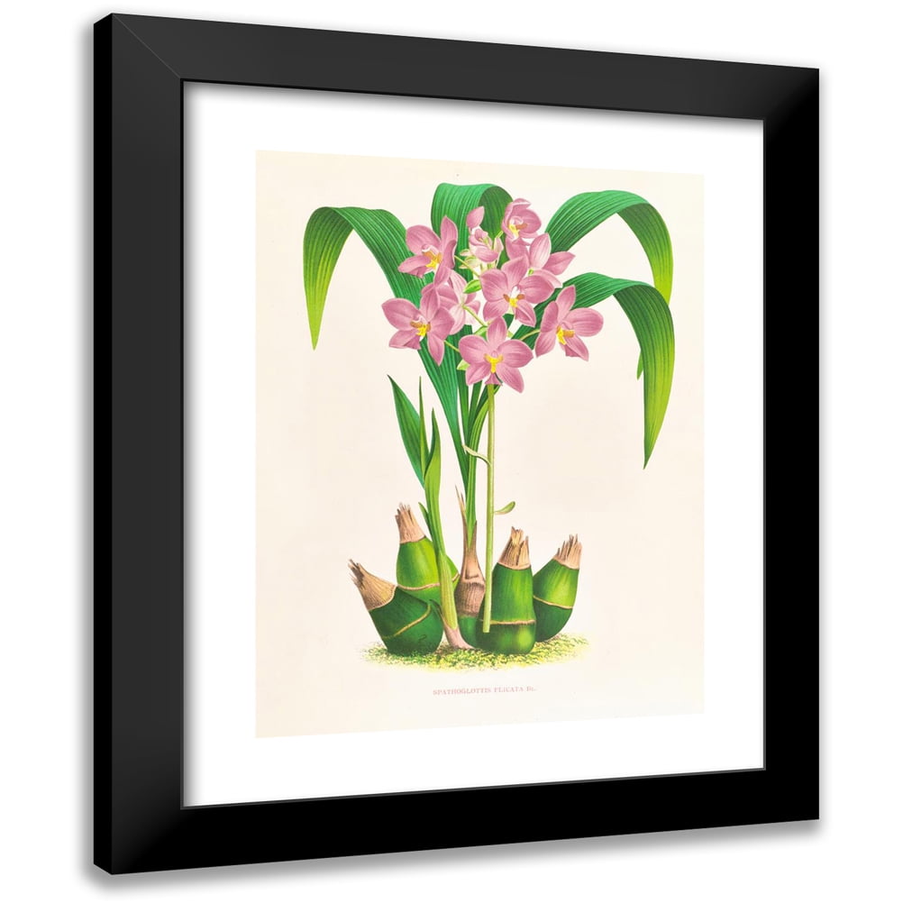 Jean Jules Linden 19x24 Black Modern Framed Museum Art Print Titled ...