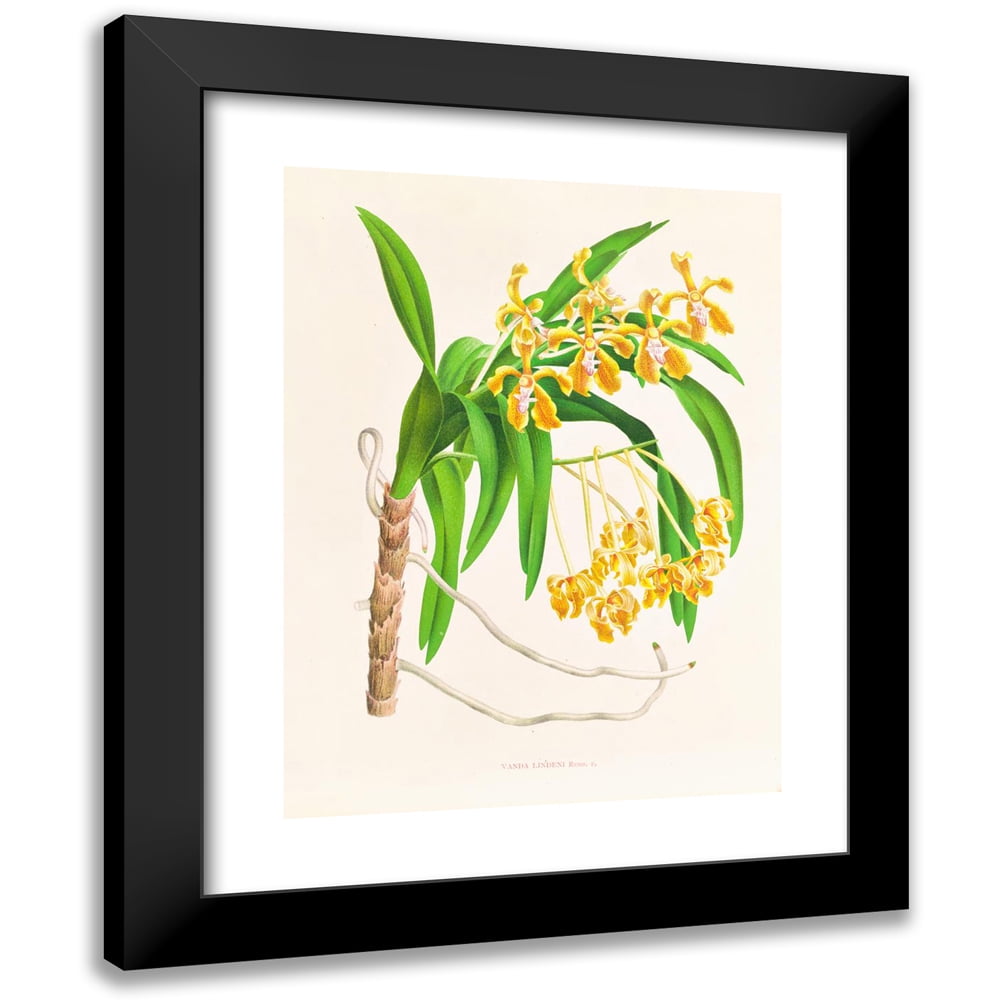 Jean Jules Linden 19x24 Black Modern Framed Museum Art Print Titled ...