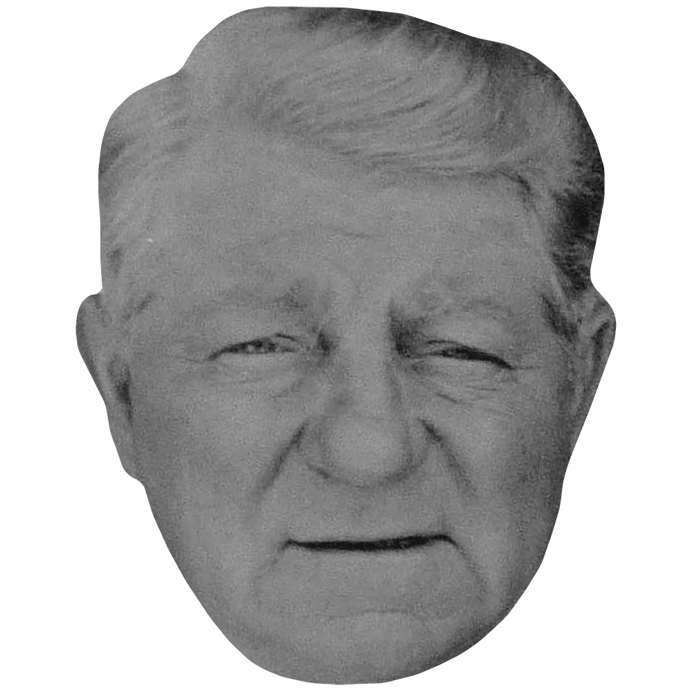 Jean Moncorge (Smile) Big Head. Larger than life mask. - Walmart.com