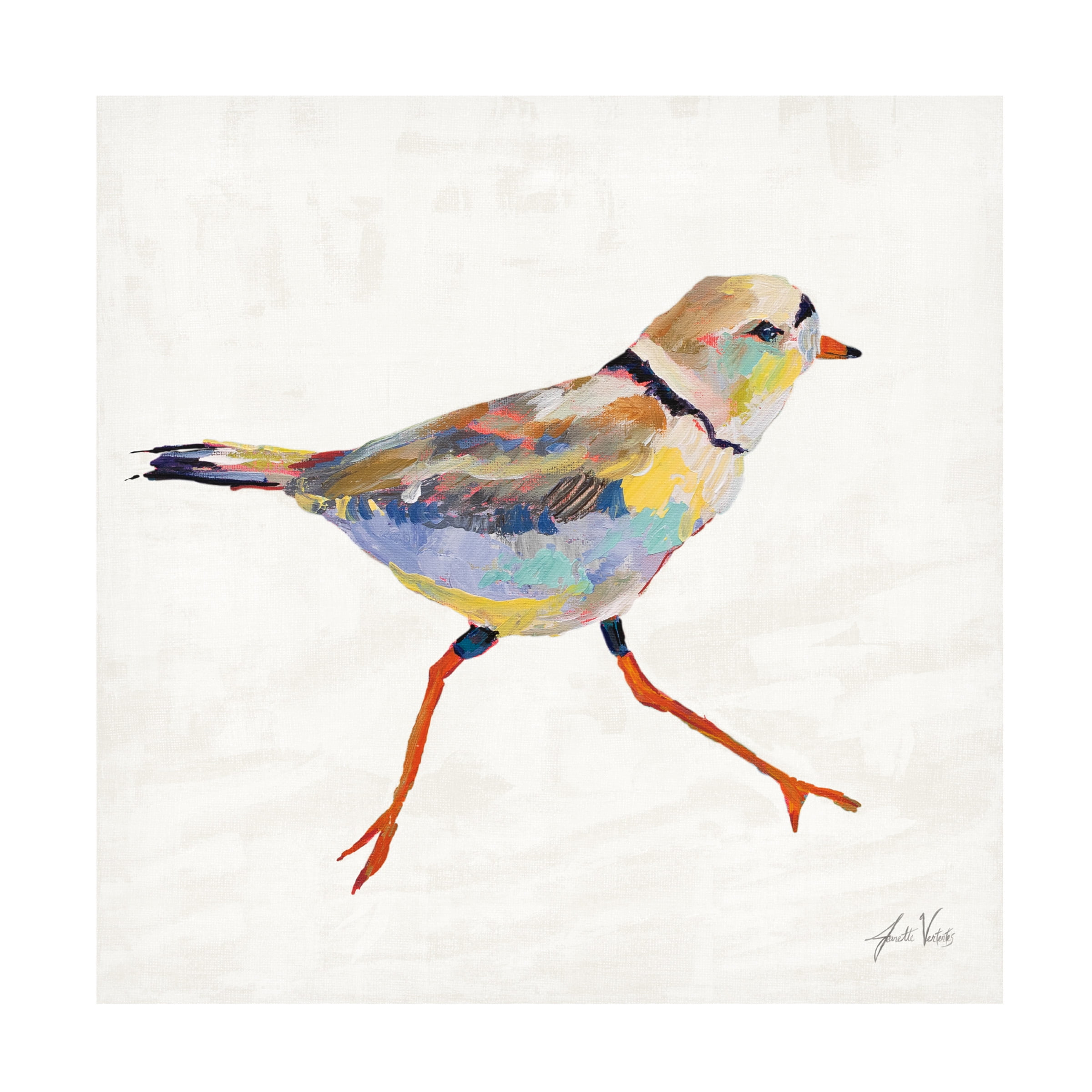 Coastal Plover I Canvas Art - 24x32 - Walmart.com