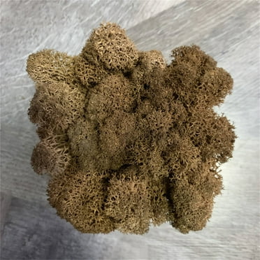 ProFlora 16" x 18" Green Moss Sticky Back Mat, 1 Each Decoration 16in ...