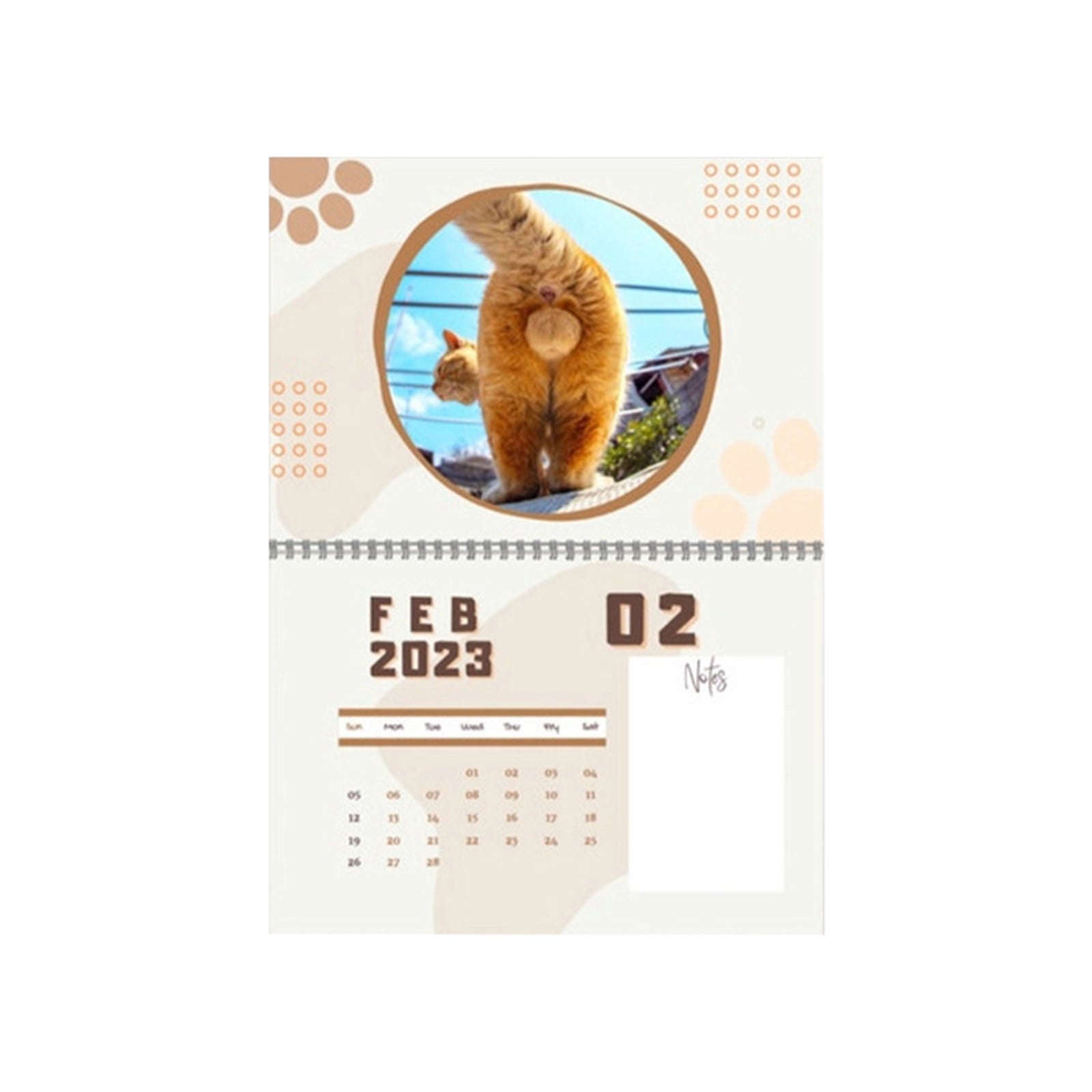 JeashCHAT Funny Cat Calendar - 2023 Cat Fart Calendar: Funny Cat Ball ...