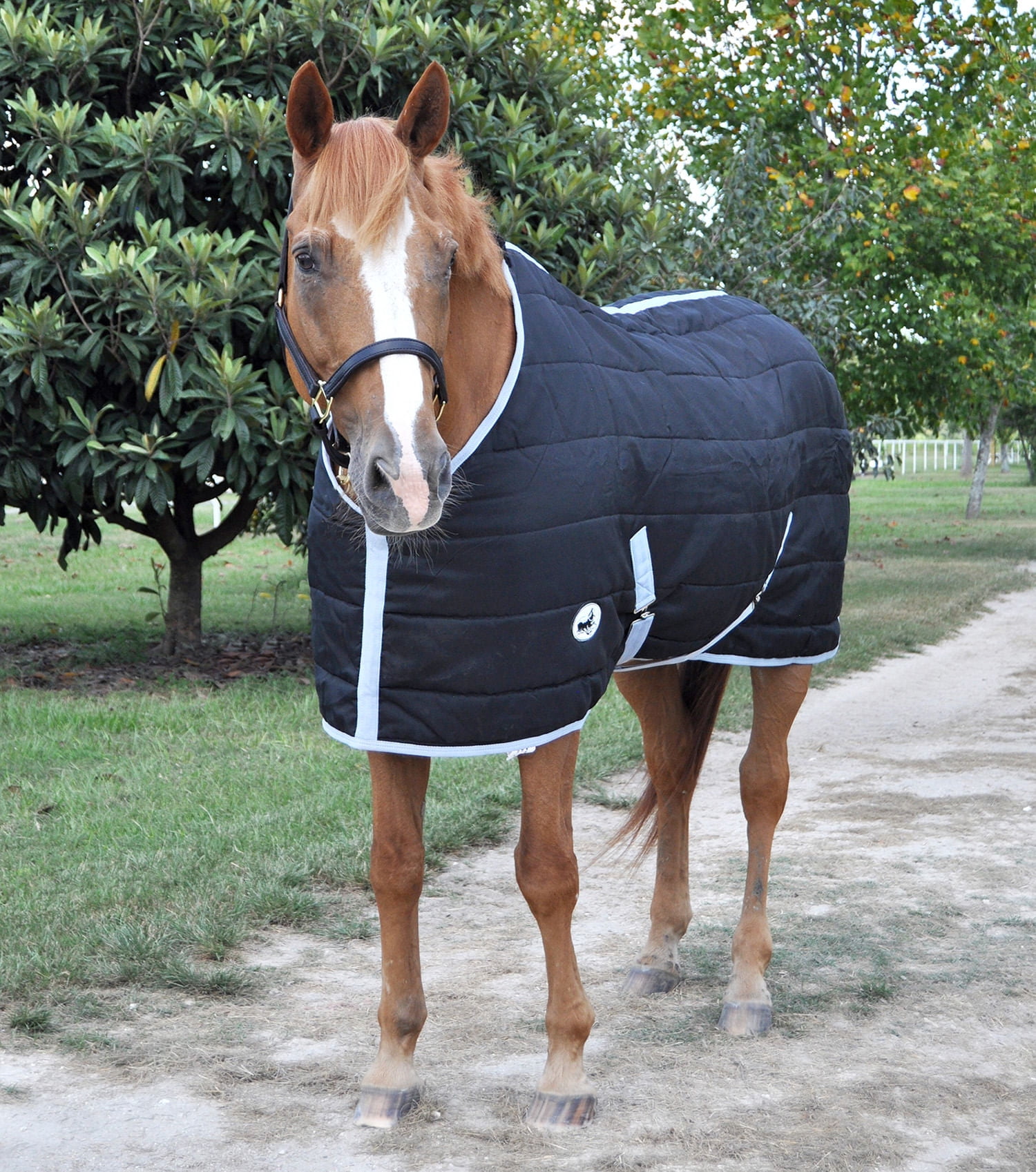 Jeffers Equine Closed Front Horse Stable Blanket, 84 Inch – Warm ...