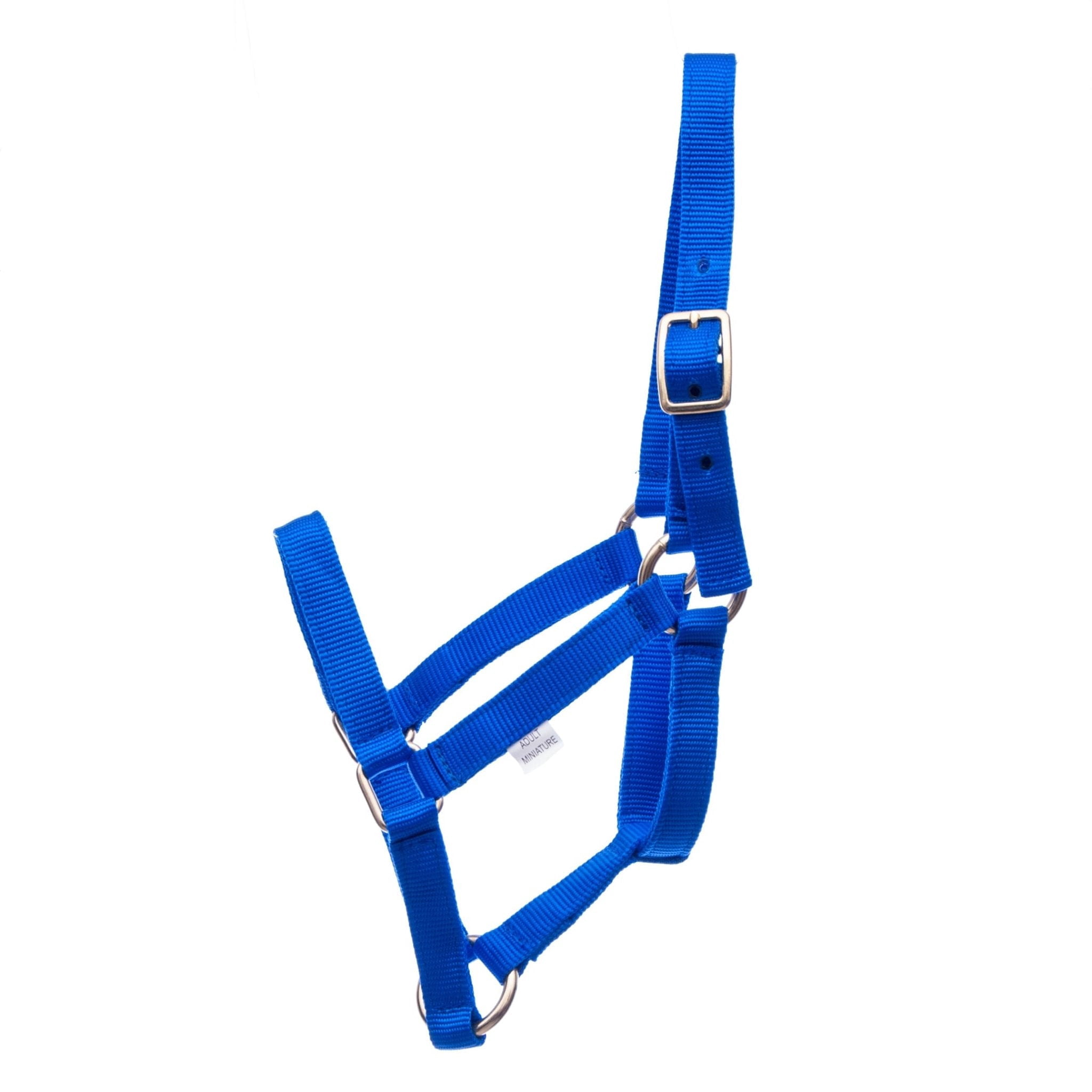 Jeffers Equine Mini Horse Halter – 3/4" Nylon Adjustable Halter for ...