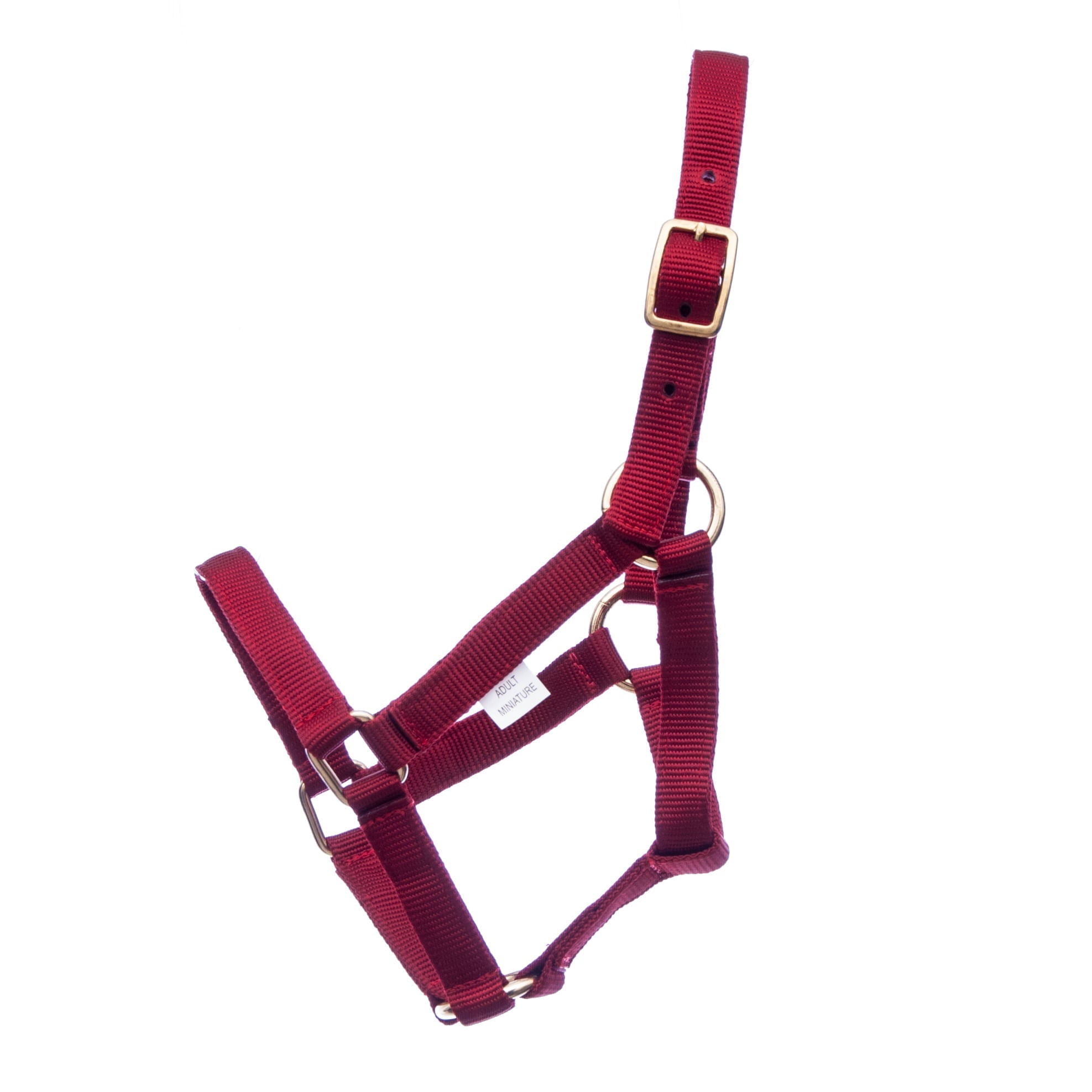 Jeffers Equine Mini Horse Halter – 3/4" Nylon Adjustable Halter for ...
