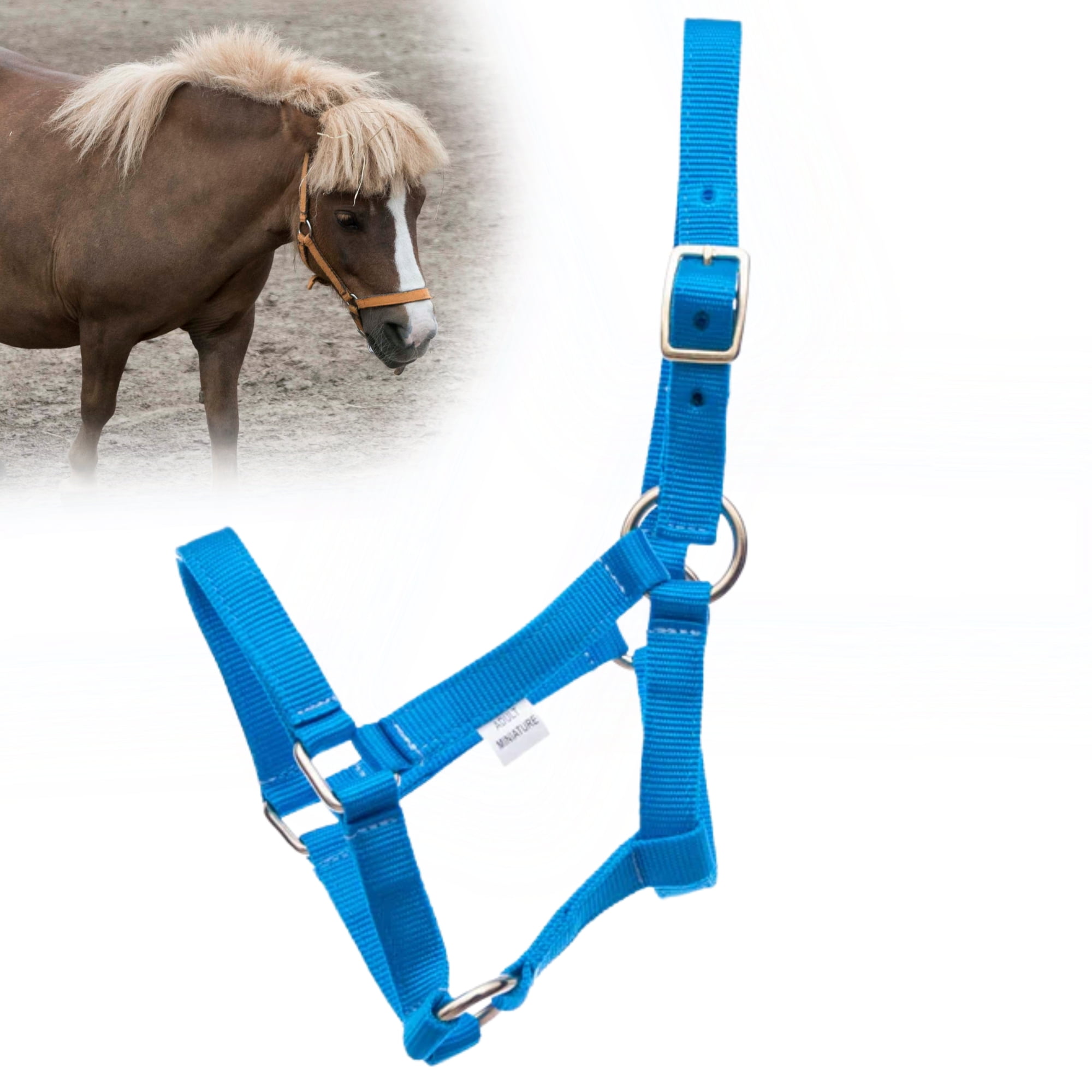 Jeffers Equine Mini Horse Halter – 3/4" Nylon Adjustable Halter for ...