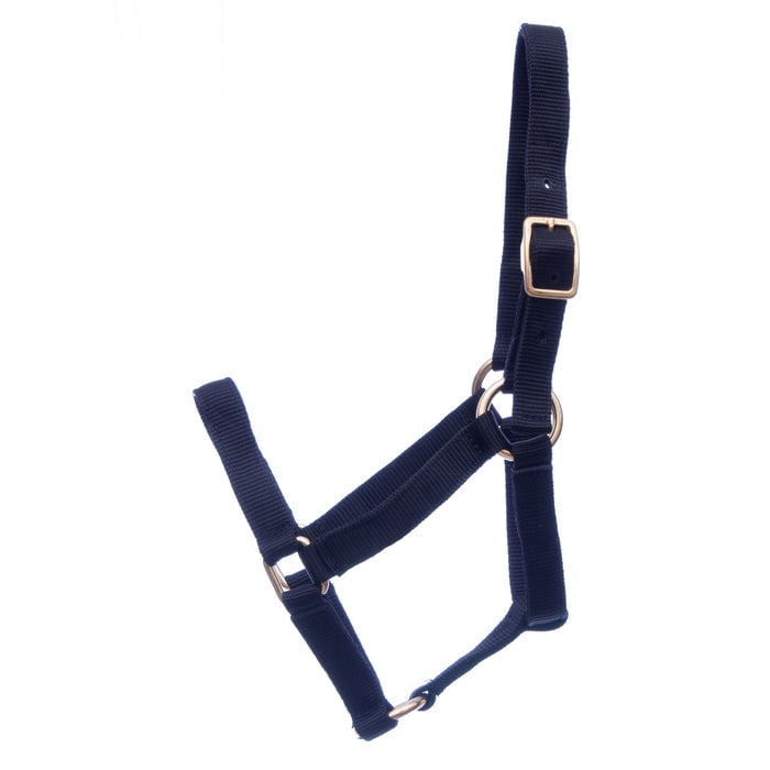 Jeffers Nylon Adult Miniature Horse Halter| Adult | Under 300 lb ...