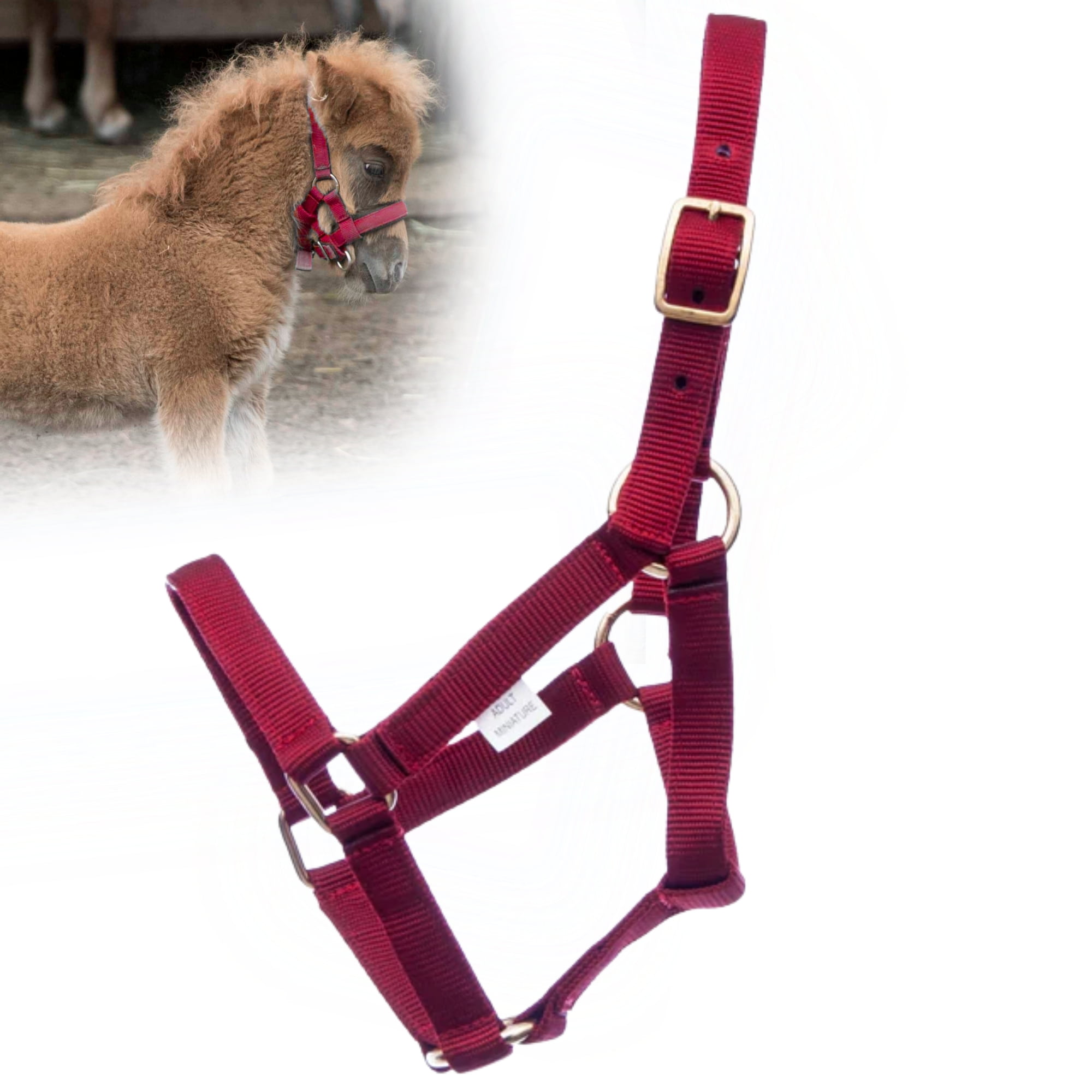 Jeffers Nylon Adult Miniature Horse Halter| Adult | Under 300 lb | Red ...