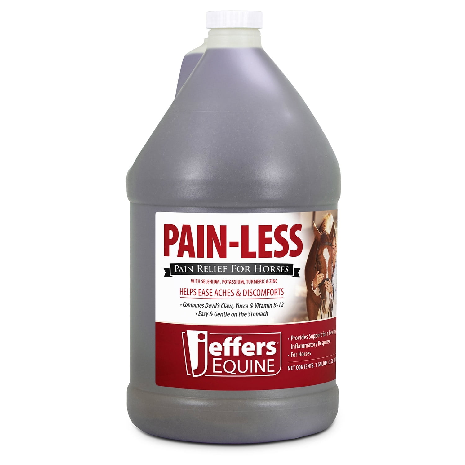 Jeffers Equine Pain-Less Paste for Horses – 1 Gallon Supplement ...