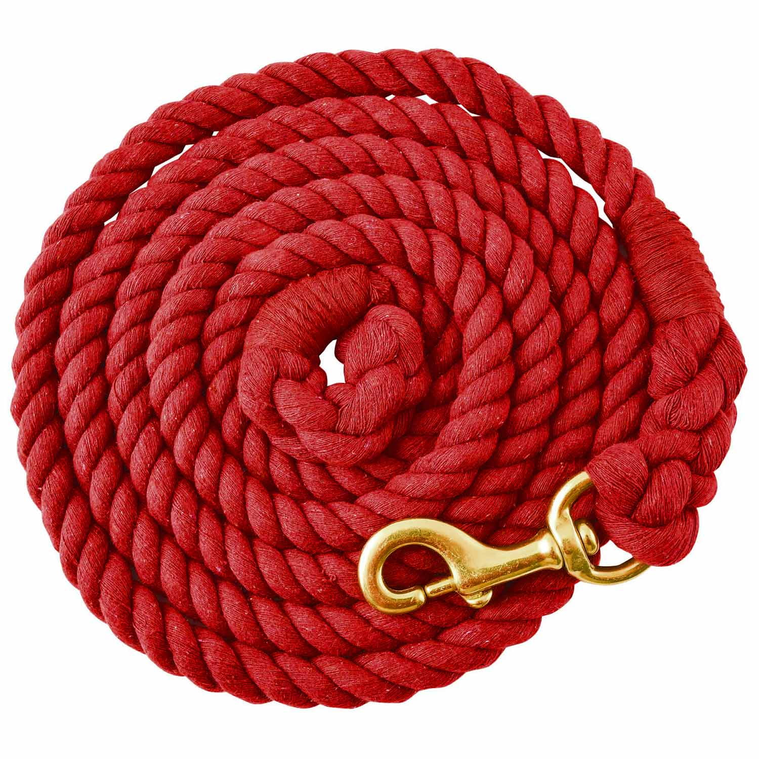 Jeffers Equine Twisted Cotton Horse Lead Rope with Brass Snap, 10 ...
