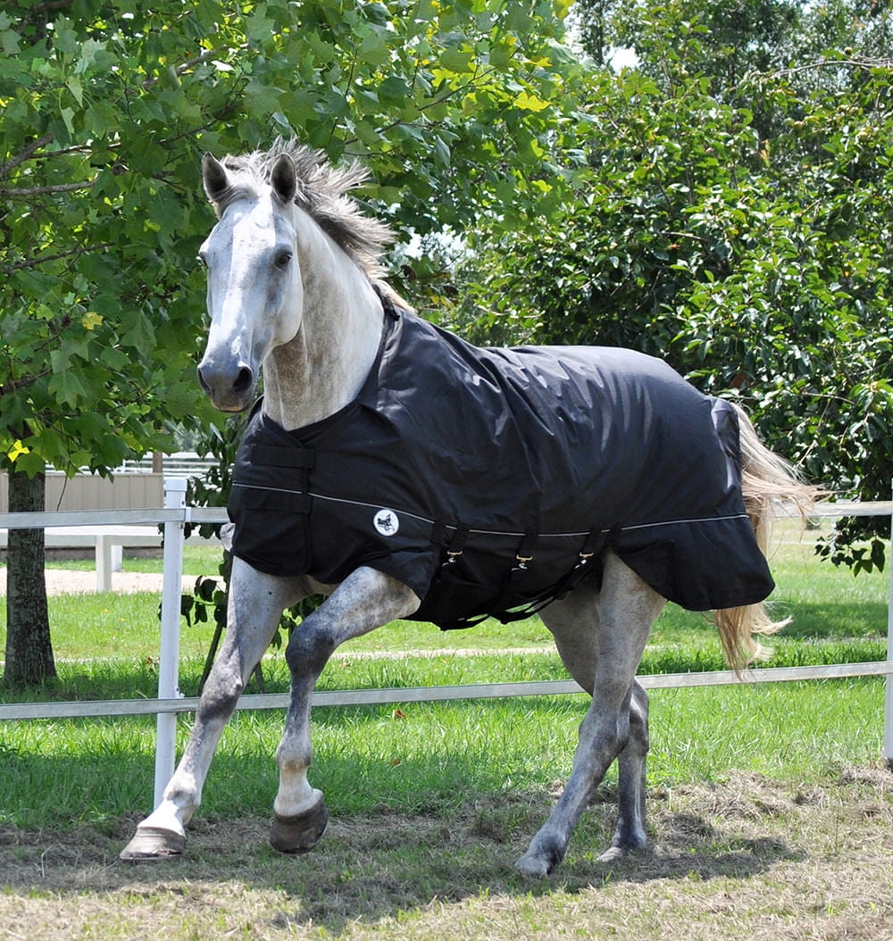 Jeffers Equine Supreme Plus Horse Turnout Blanket, Black, 84" – Medium ...