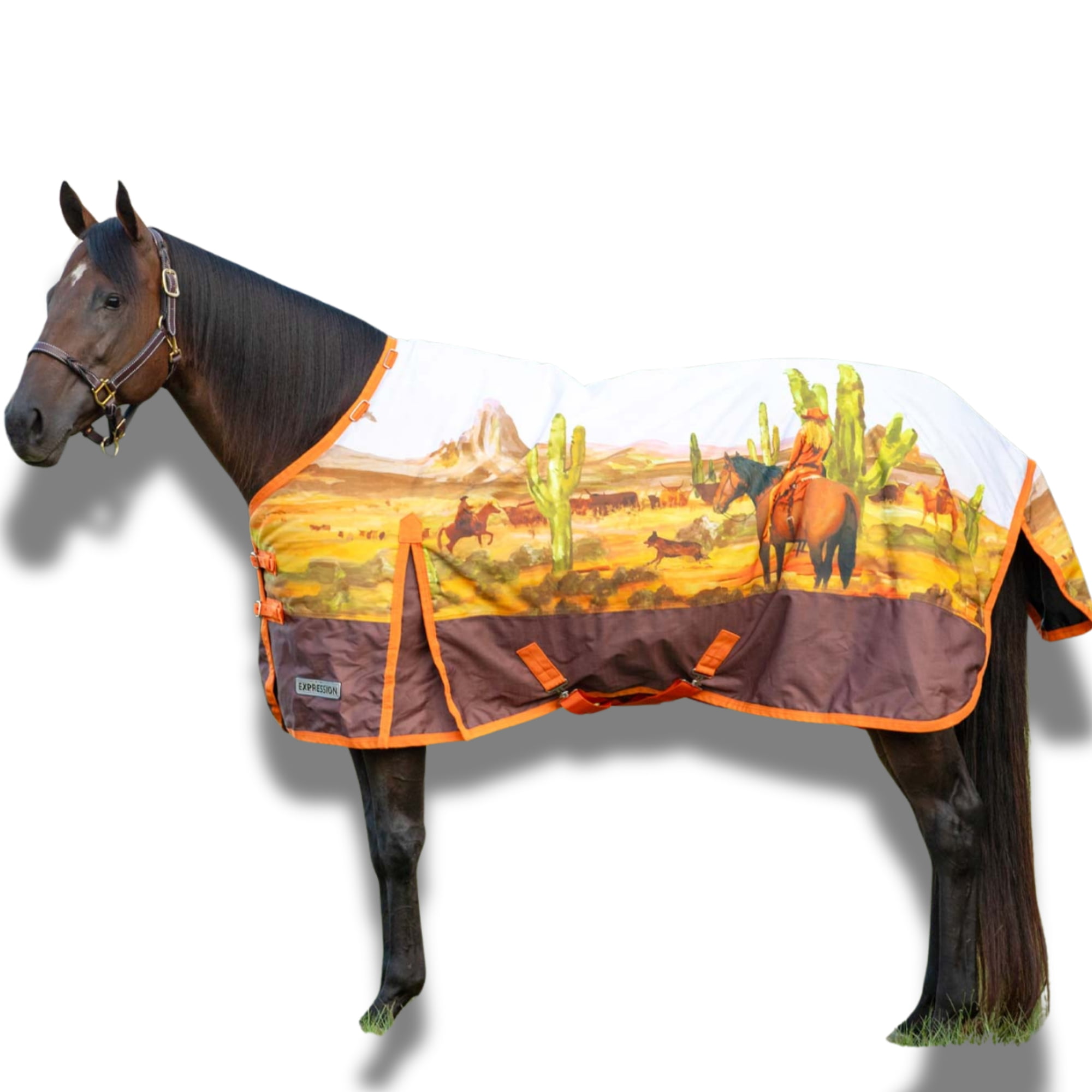 Jeffers Expression 1200 Denier Standard Neck Turnout Sheet, Cattle ...