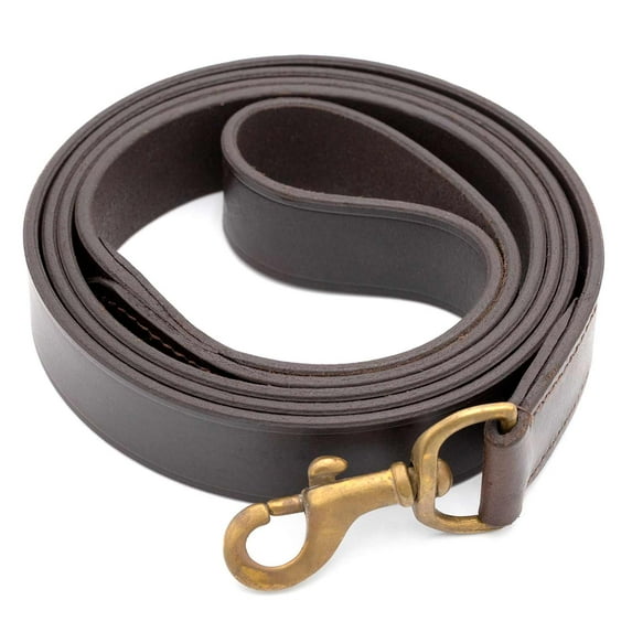 Jeffers Flat Leather Dog Leash with Handle, 1-1/4"W x 6'L, Brass ...