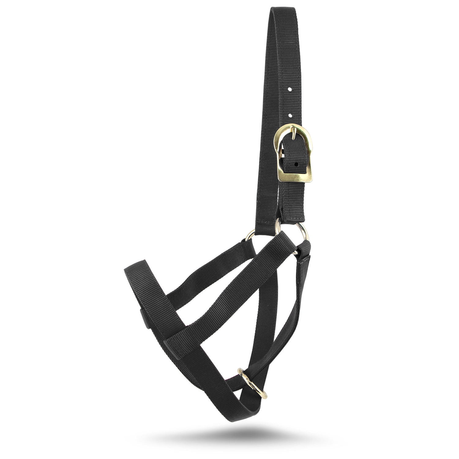 Jeffers Livestock Nylon Web Halter for Large Cows (750-1000lb) – Heavy ...