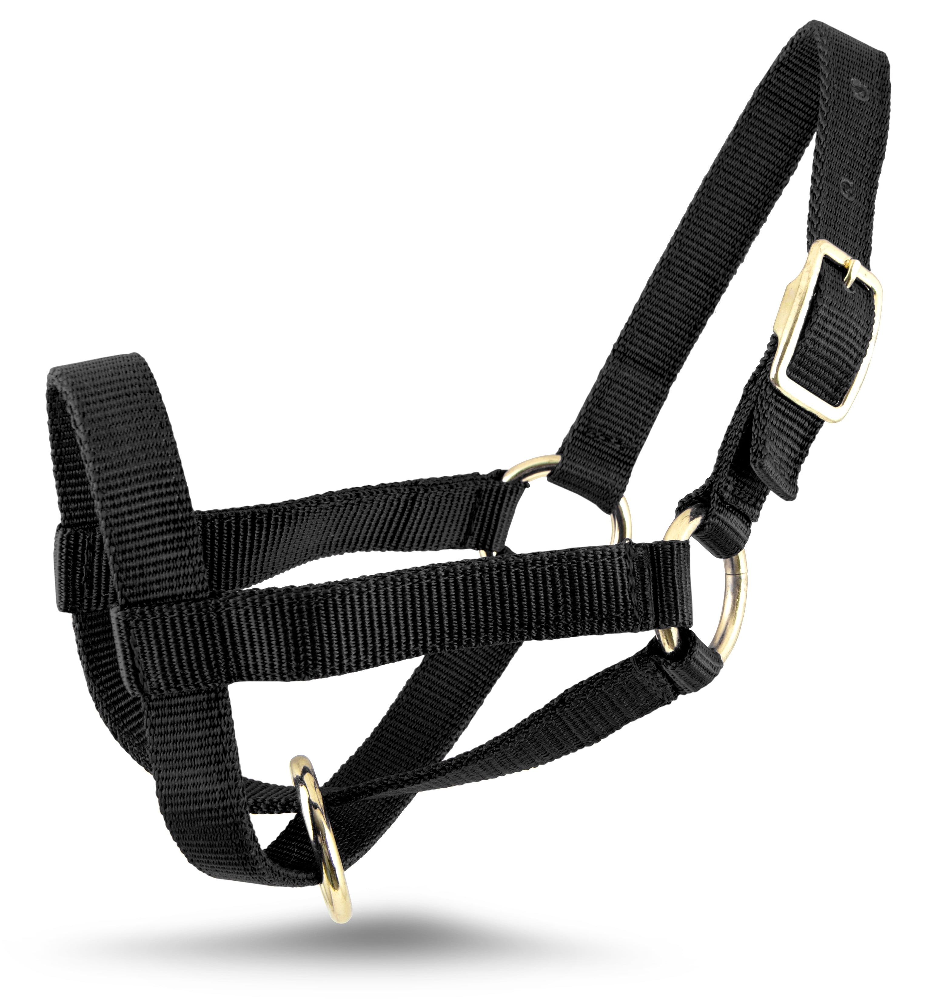 Jeffers Livestock Goat Halter, Large, Black – Safe & Adjustable for ...