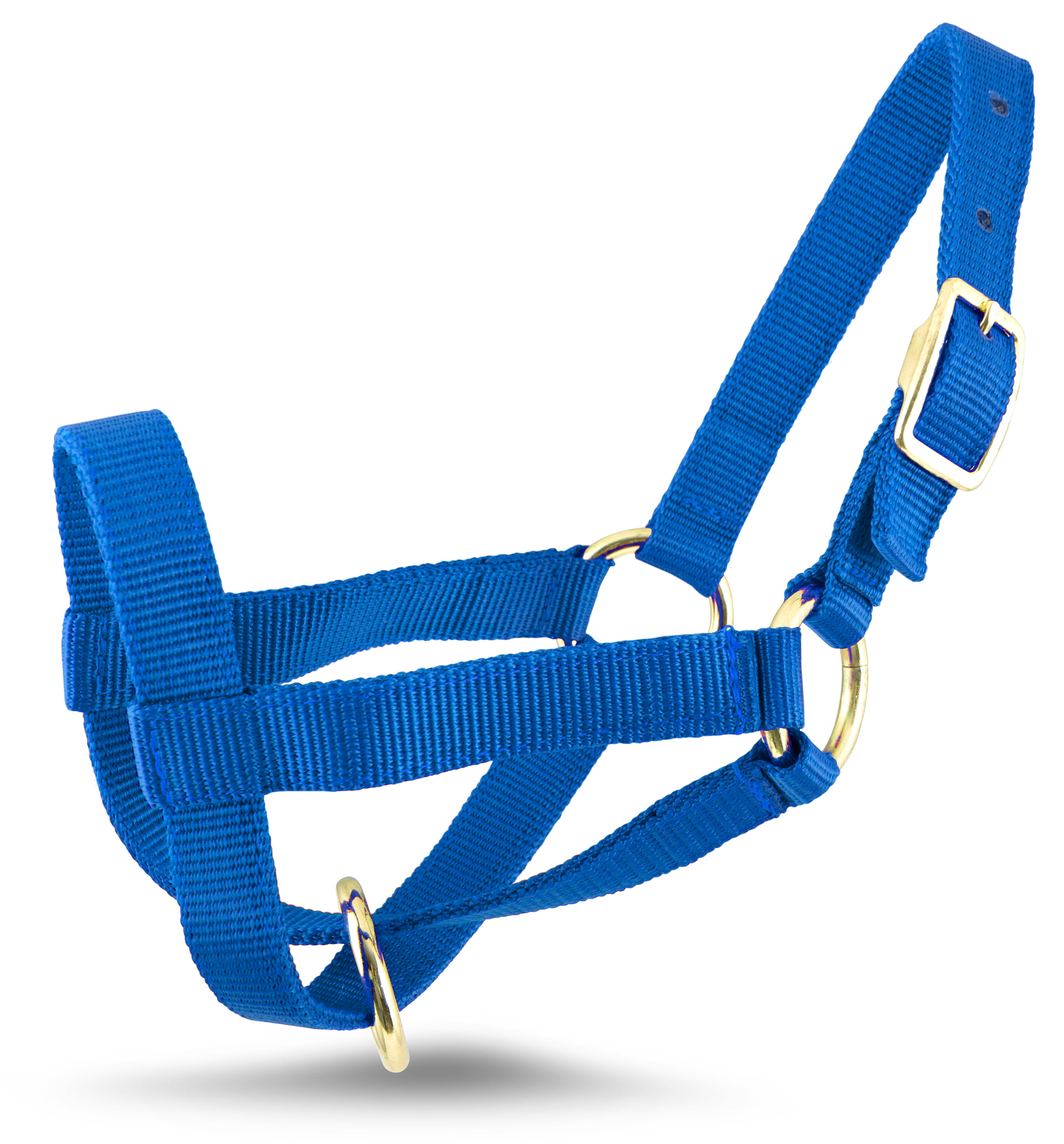 Jeffers Livestock Goat Halter, Large, Royal Blue – Safe & Adjustable ...