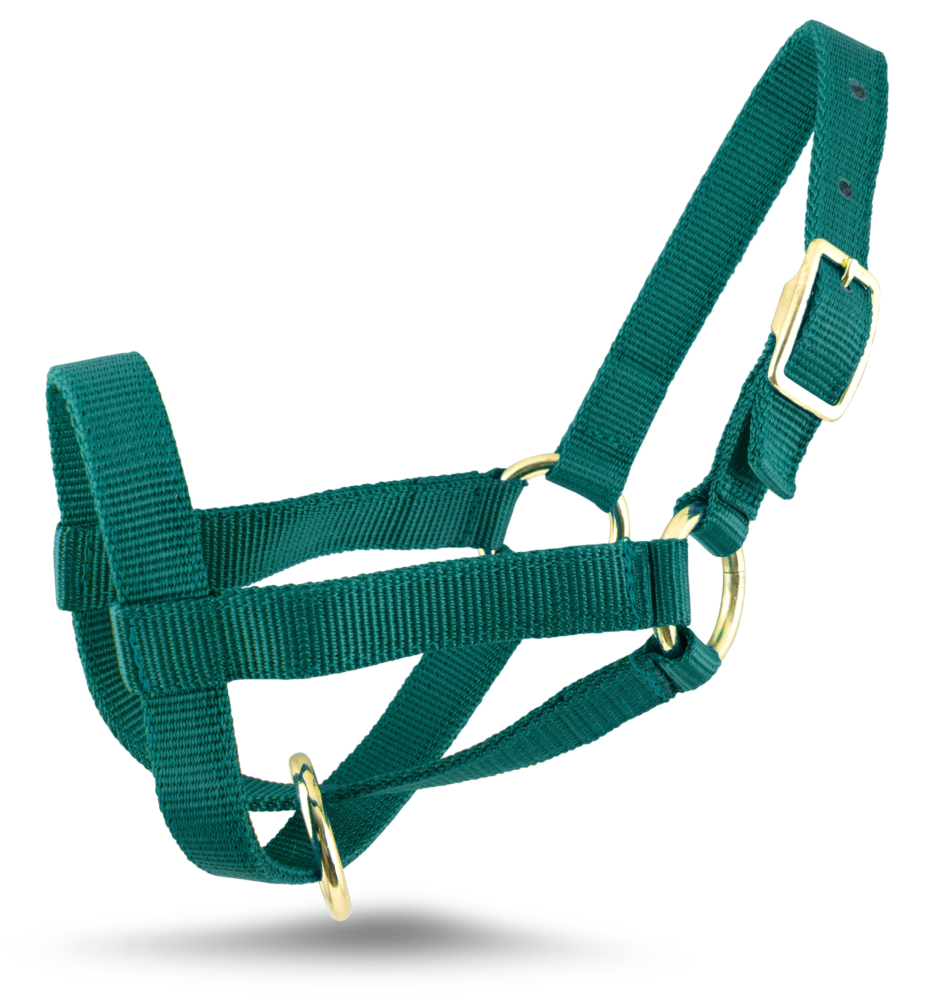 Jeffers Livestock Goat Halter, Medium 35