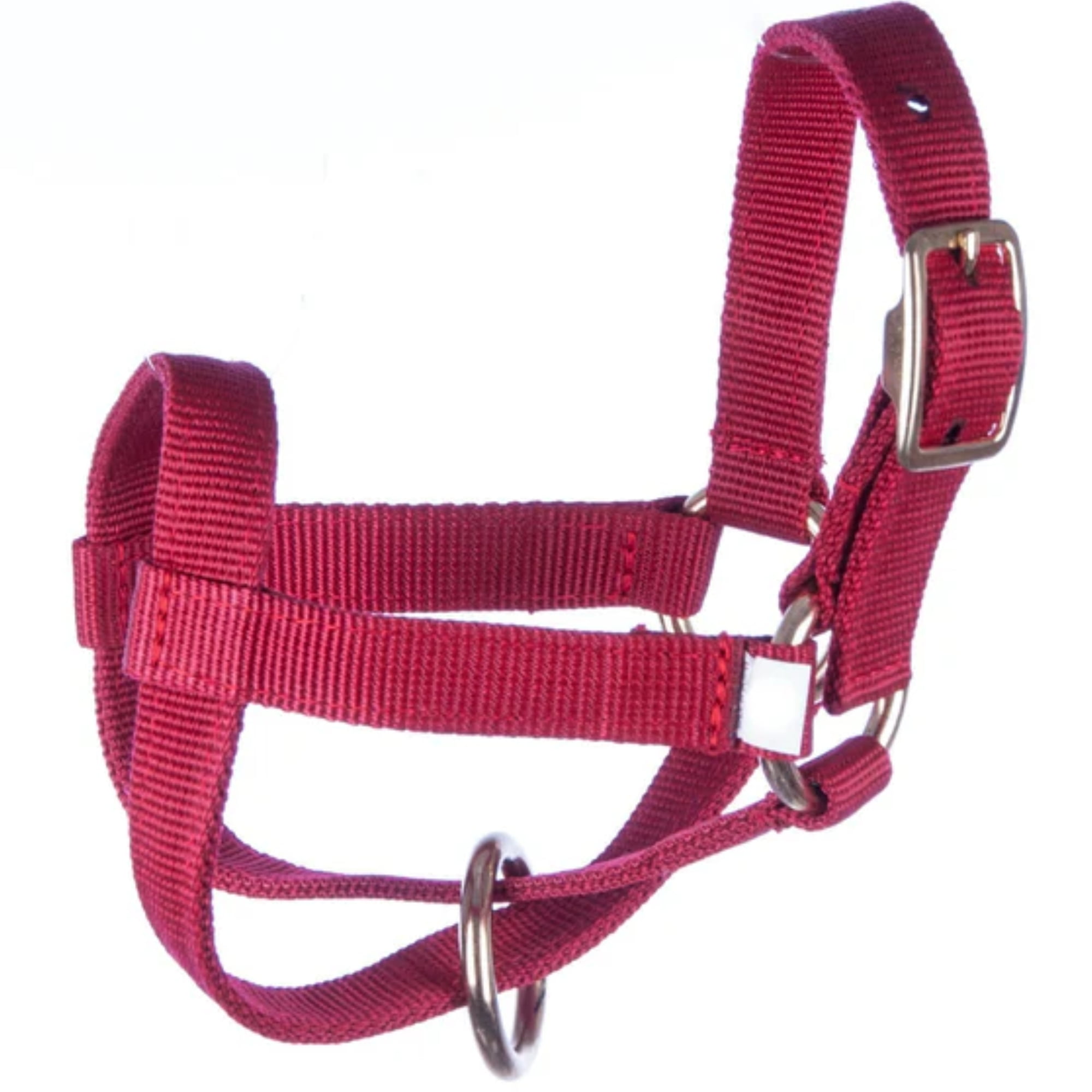 Jeffers Livestock Goat Halter, Medium, Red – Safe & Adjustable for ...