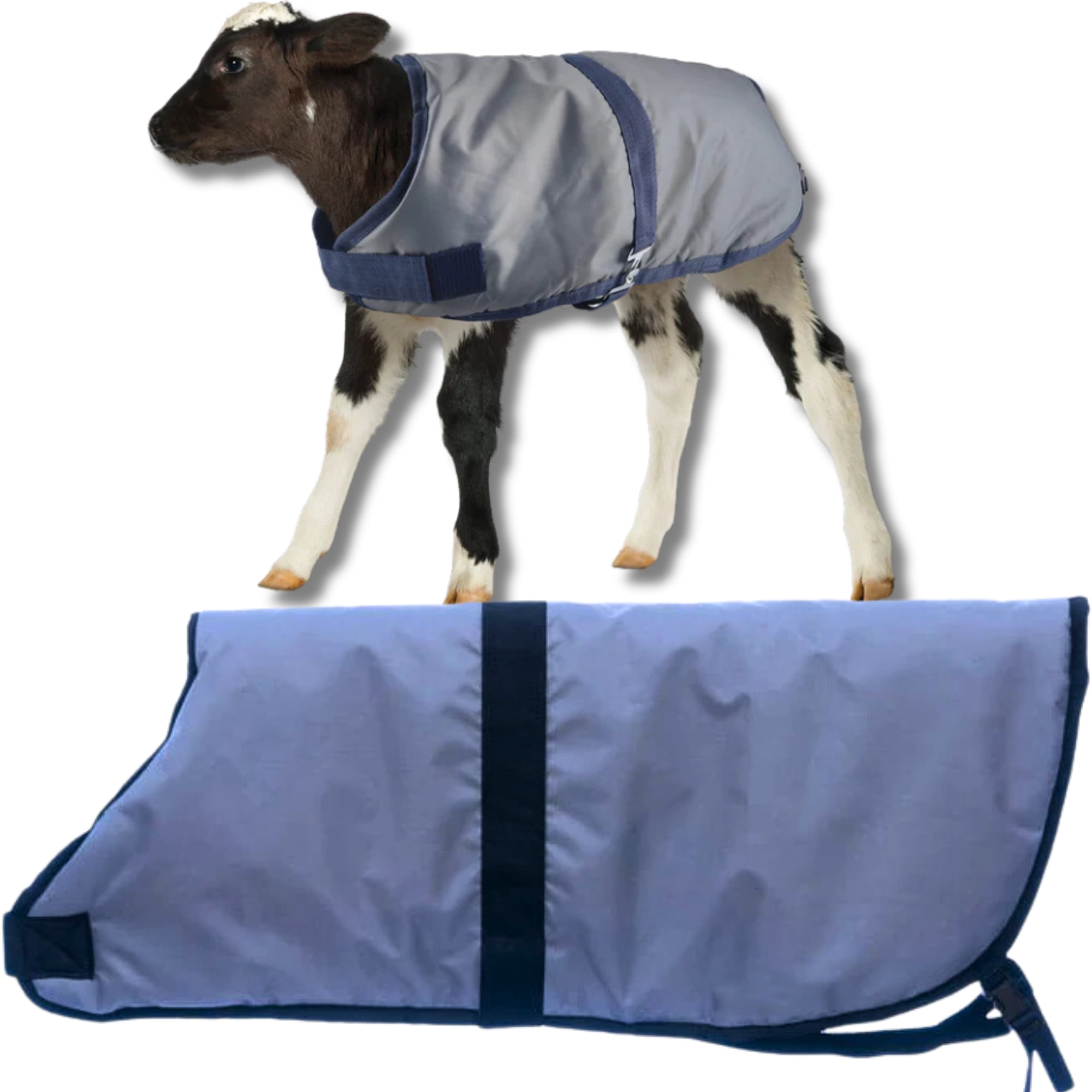 Jeffers Livestock Insulated Calf Blanket, Grey Navy, 1 Pack - 600Denier, 350G Polyfill, Winter ...
