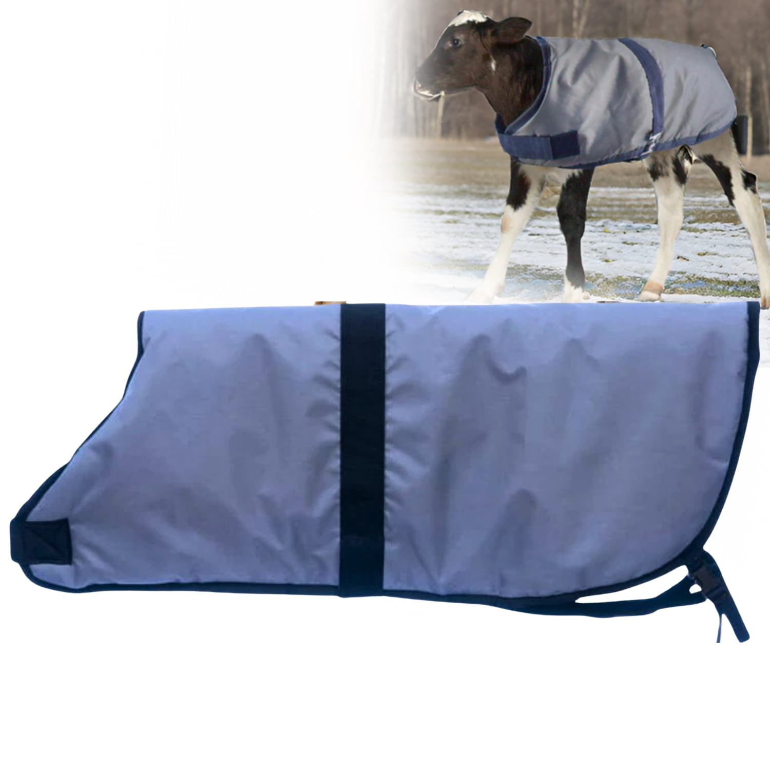 Jeffers Livestock Insulated Calf Blanket, 31.5" – 350G Polyfill Quilted ...