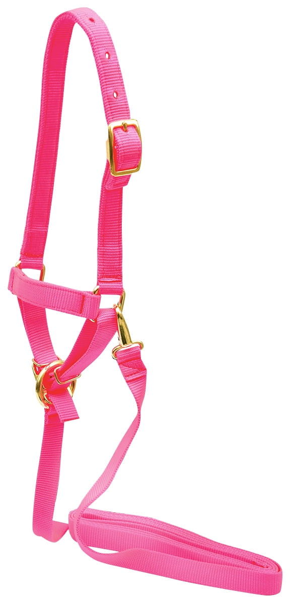 Jeffers Livestock Nylon Sheep Halter & Lead Set – Brass Plated ¾ ...