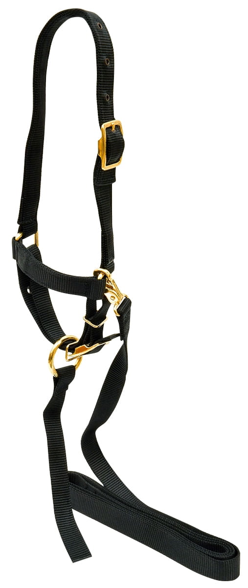 Jeffers Livestock Nylon Sheep Halter & Lead Set – Brass Plated ¾ ...