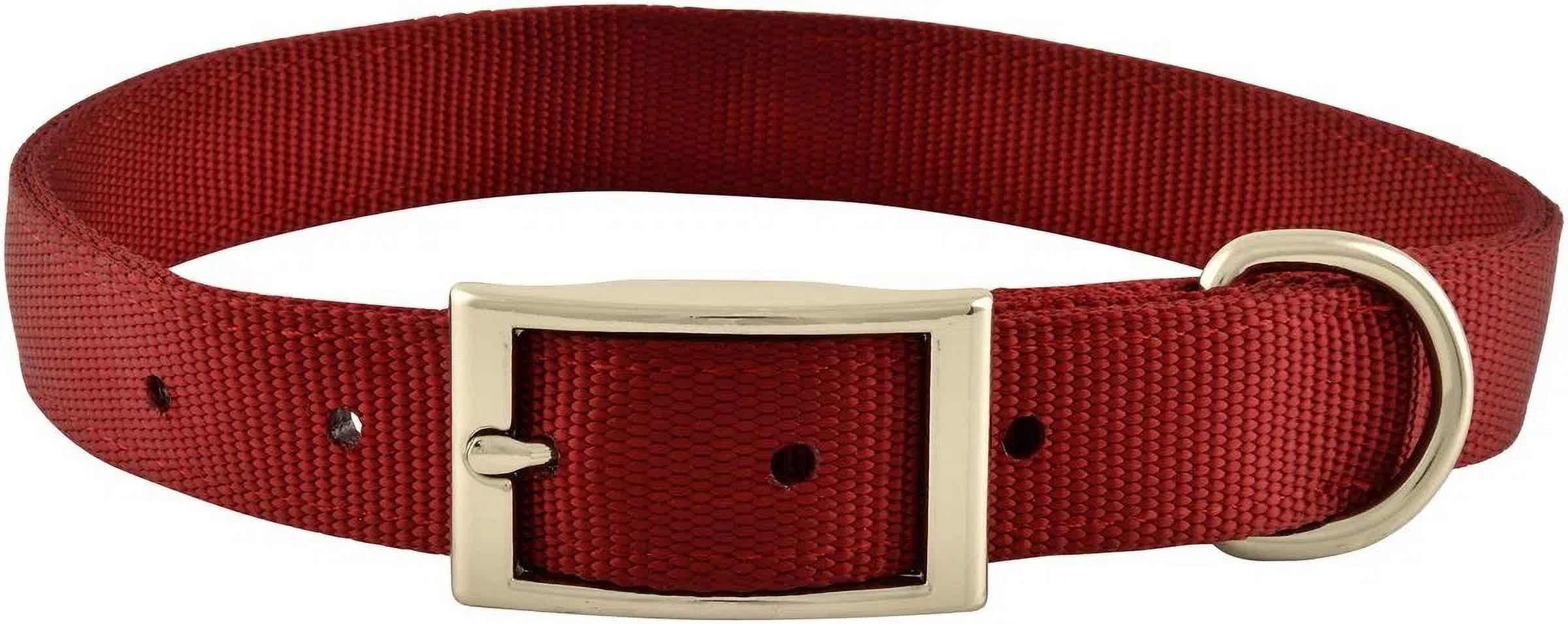 Jeffers Nylon 1" Wide Dog Collars | 22 inches | Red - Walmart.com