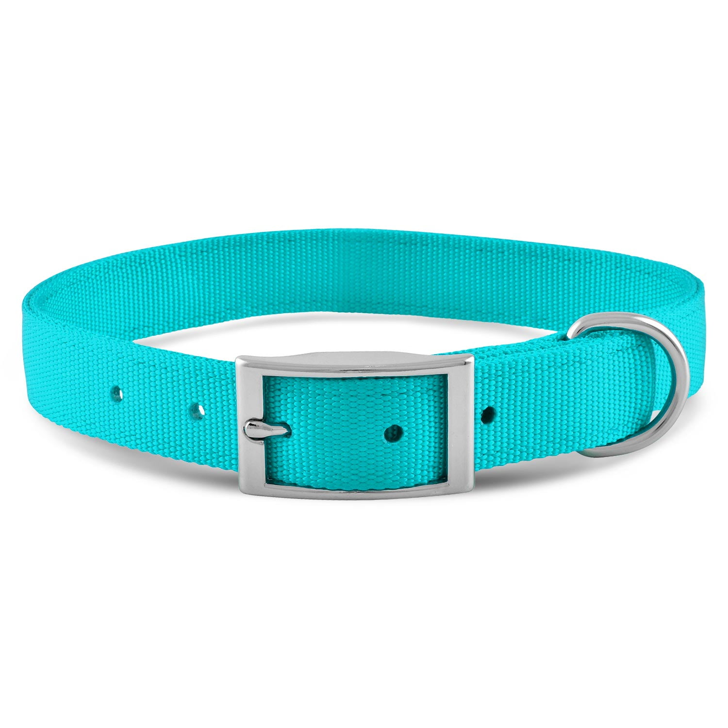 Jeffers Solid Web Nylon Dog Collar with Nickel Plated Hardware, 5/8 ...