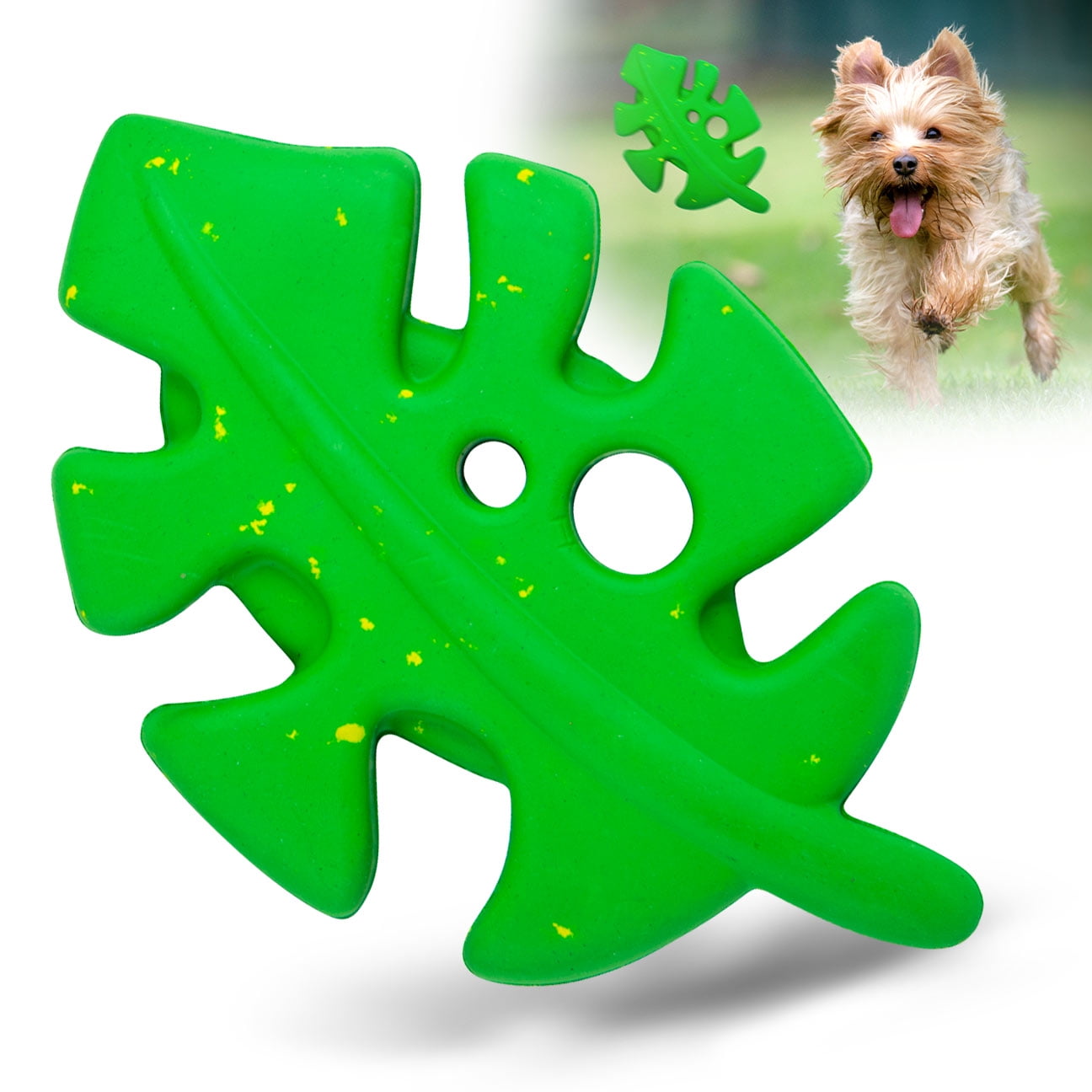 Jeffers Natural Rubber Dog Chew Toy, Leaf Shape, Small, Green, Durable ...