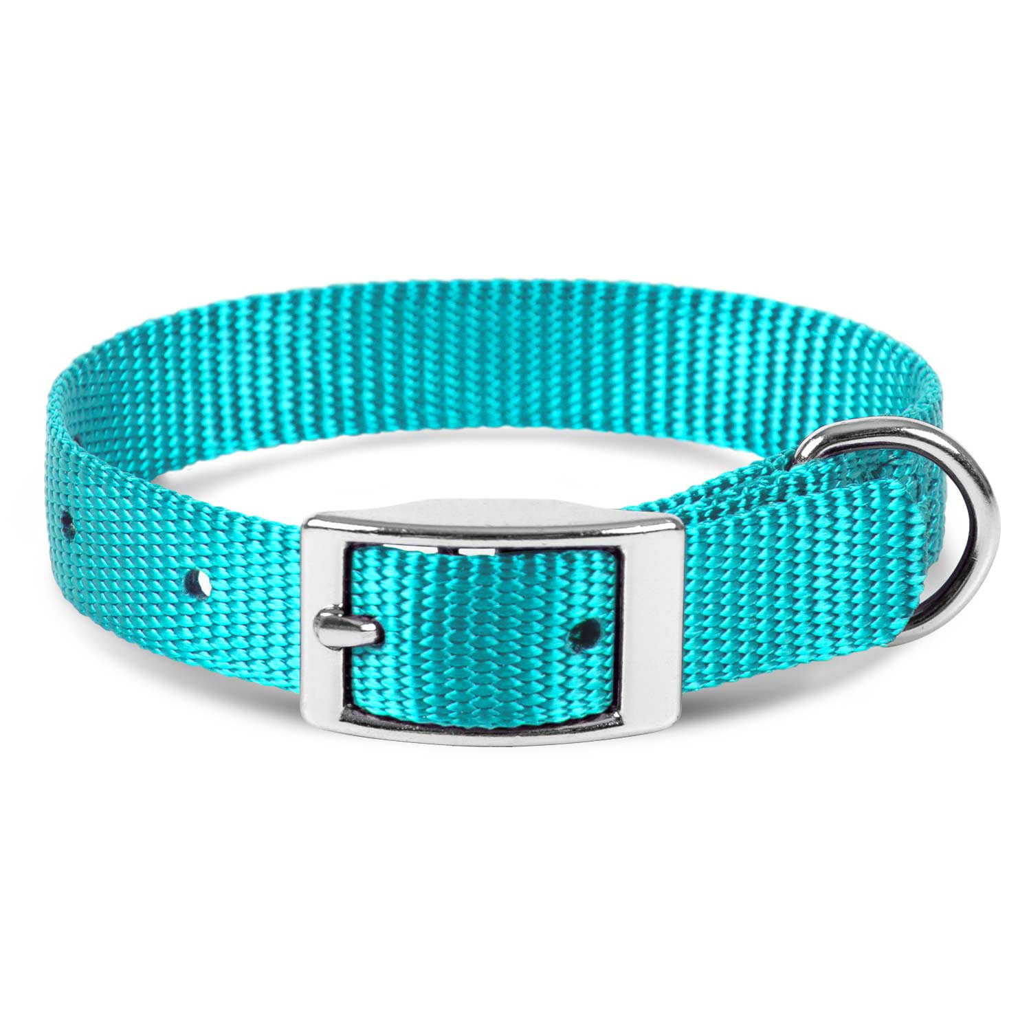 Jeffers Solid Web Nylon Dog Collar with Nickel Plated Hardware, 5/8 ...