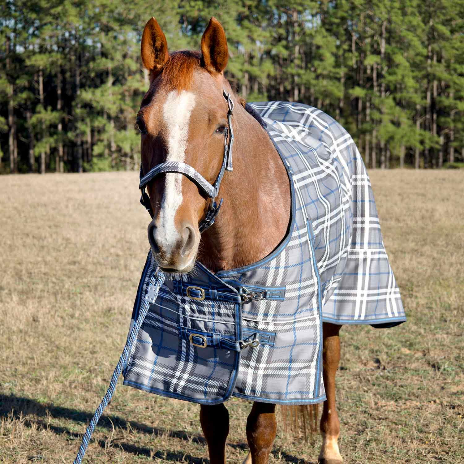 Jeffers Poplar Head Refuge 1200D, Hamilton Blue & Slate Plaid, 75 ...