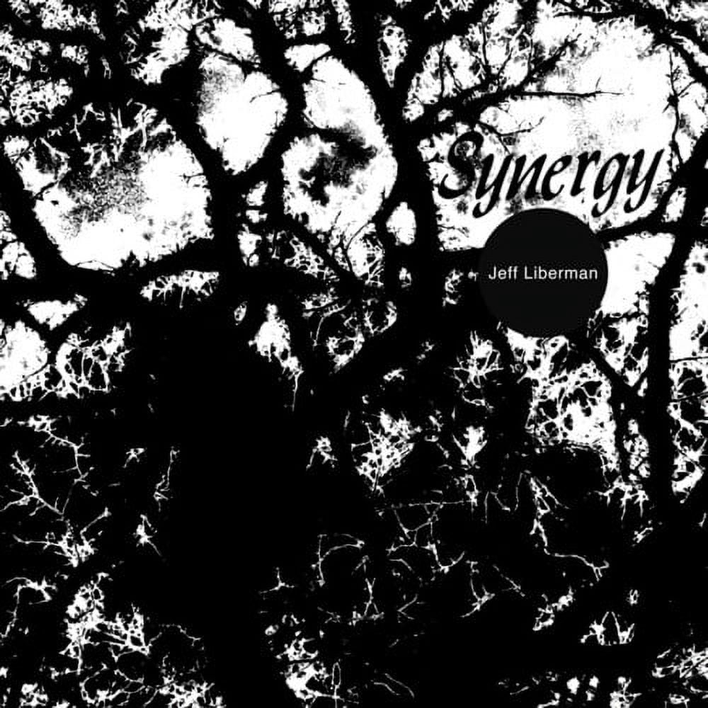 Jeffery Liberman - Synergy - Music & Performance - Vinyl - Walmart.com