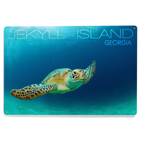 Jekyll Island, Georgia, Sea Turtle (12x18 Aluminum Art, Indoor Outdoor ...
