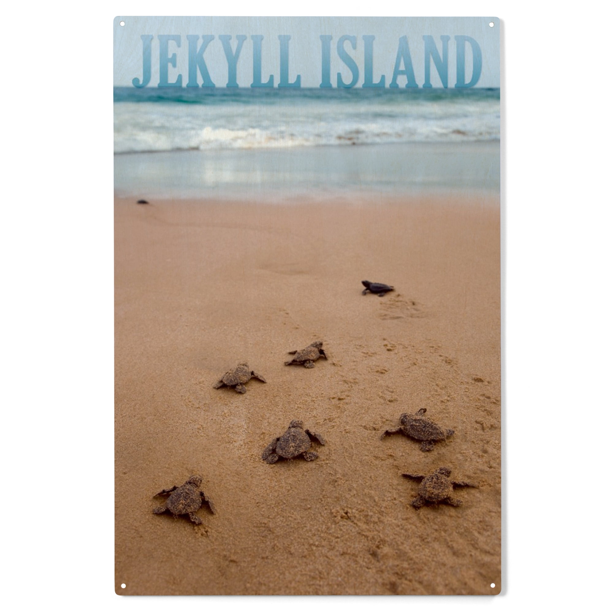 Jekyll Island, Georgia, Sea Turtles Hatching Birch Wood Wall Sign ...