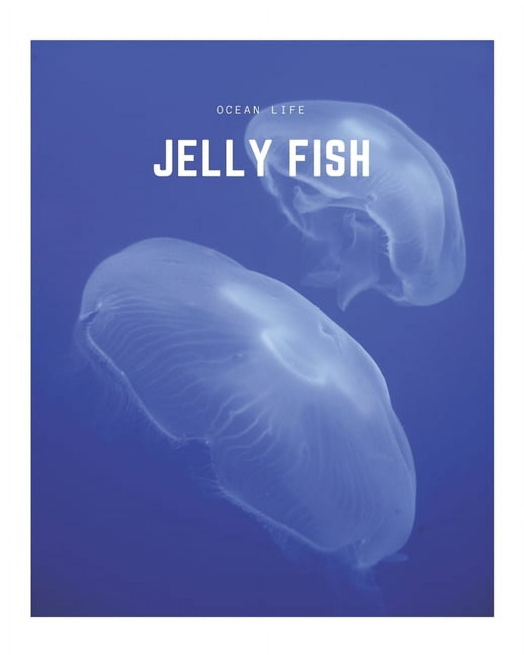 Ocean Life Book: Jelly Fish: A Decorative Book │ Perfect for Stacking ...