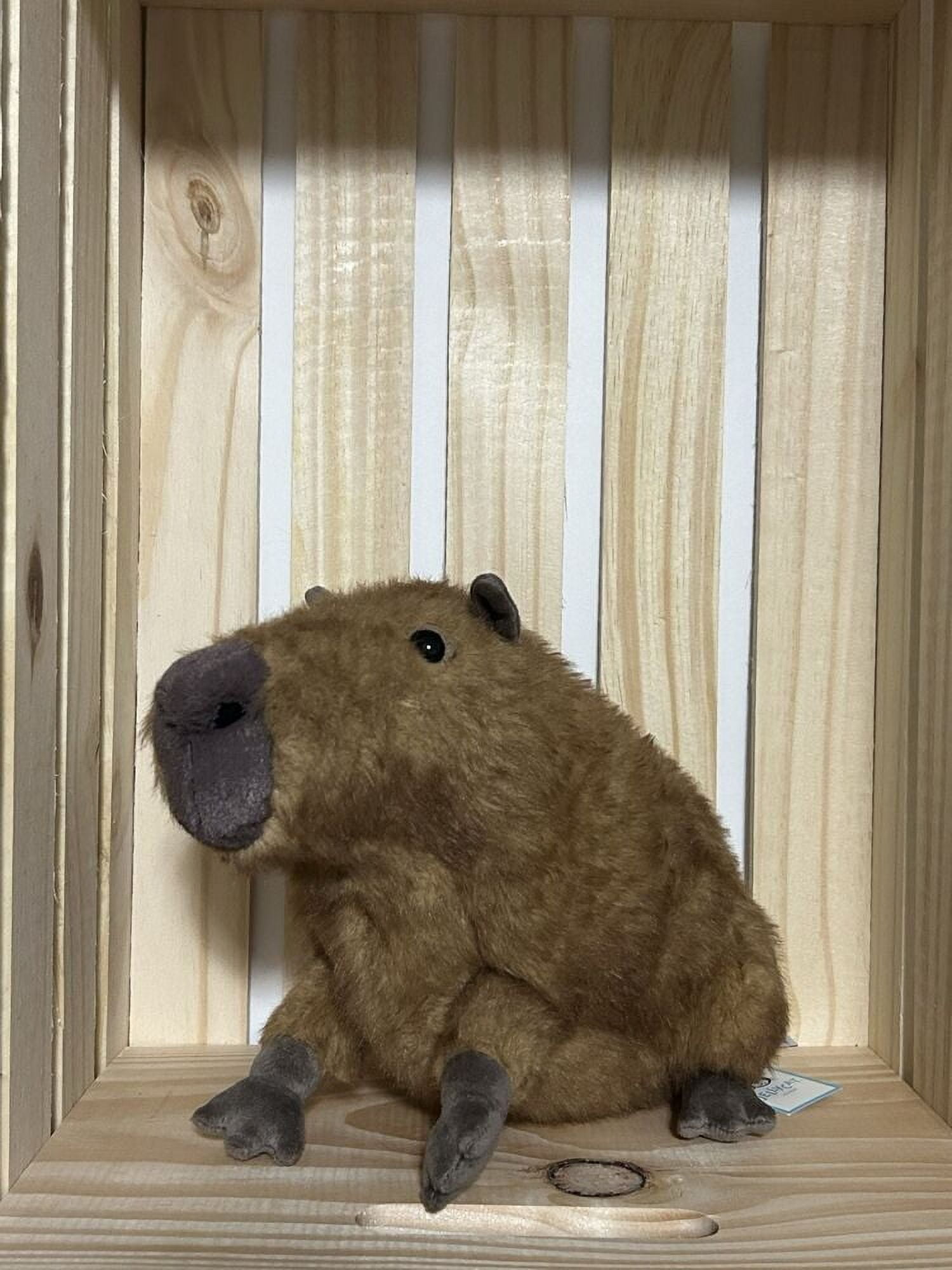Jellycat CLYDE CAPYBARA Soft Plush Toy NWT Stuffed Rodent RARE & Hard ...