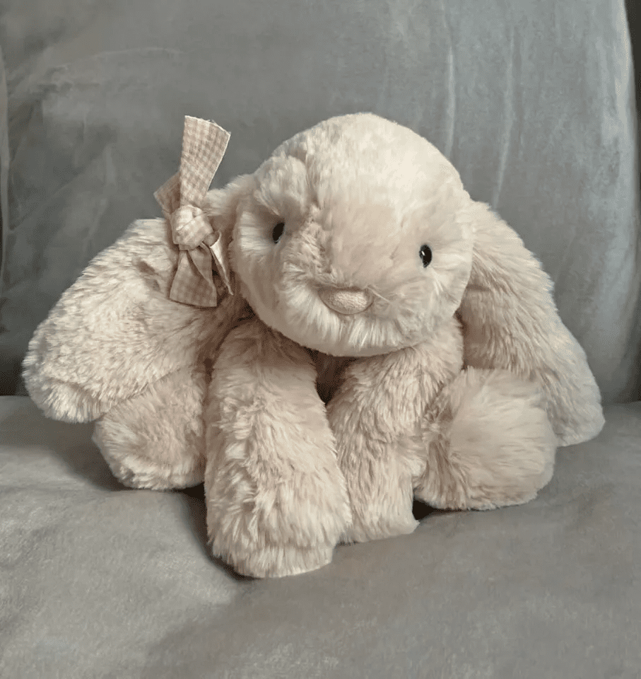 Jellycat Silky Soft Plush Toy Stuffed Animal Doll Accompanying Rabbit ...