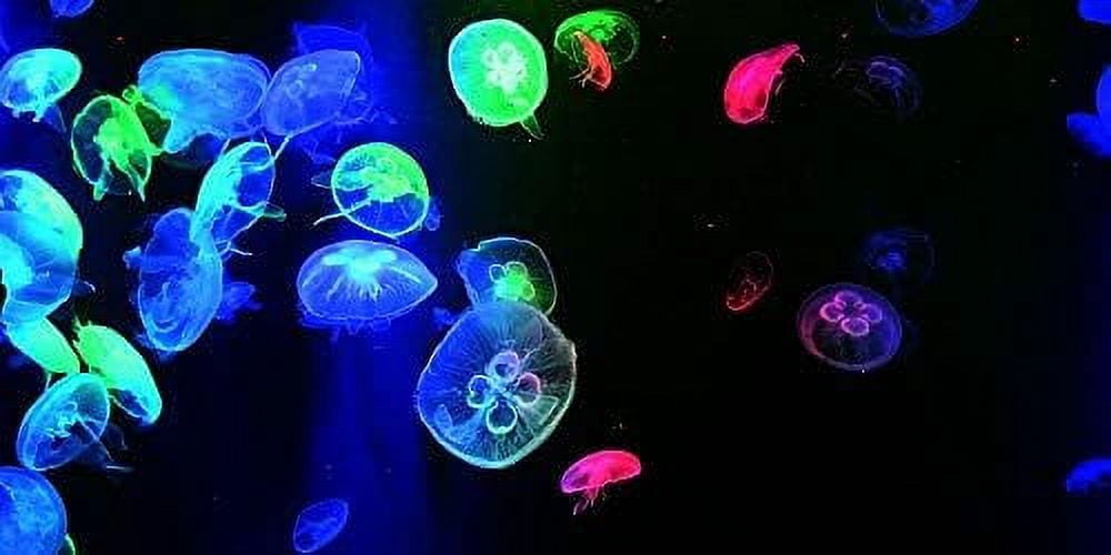 Jellyfish Aquarium Background Poster PVC Fish Tank Decorations ...